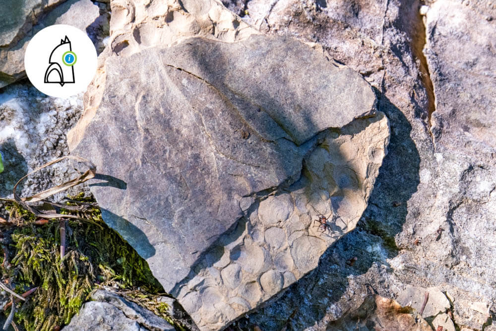 Landing 07 - Lukač geological profile - TD Žiri